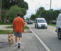 Bicycle/Pedestrian Safety Action Plan Survey